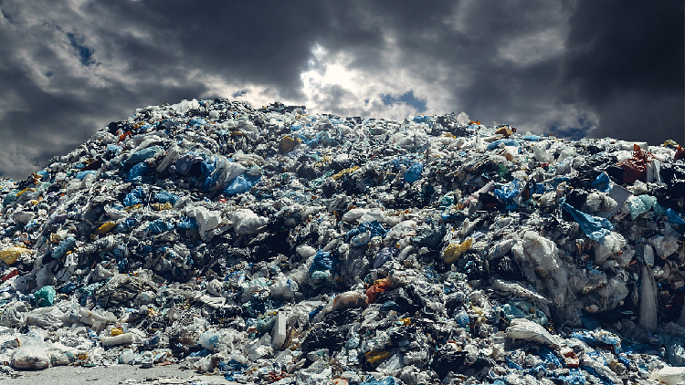 More action against plastic pollution needed, says WWF section lead - CGTN