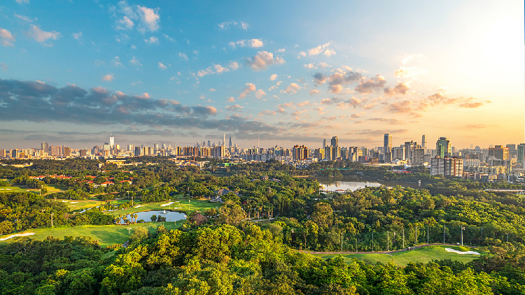 China's ecological conditions continue to improve in 2022 - CGTN