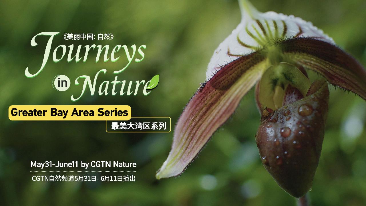 Greater Bay Area Series is coming May 31 - CGTN