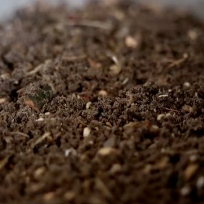 Worm experts help to manage food waste - CGTN