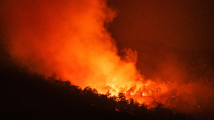 14 killed in wildfires in Kazakhstan - CGTN