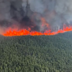 Rain to help clear Canada's air soon, but days away from Quebec fires ...