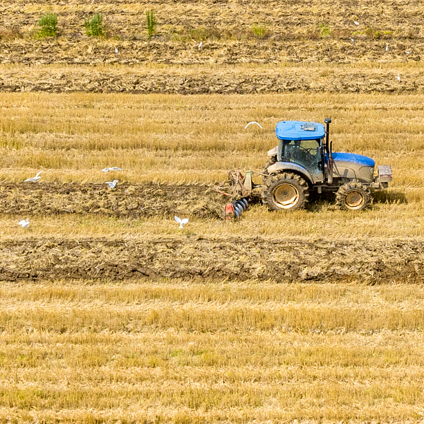 China to strengthen regulations on farm land protection - CGTN