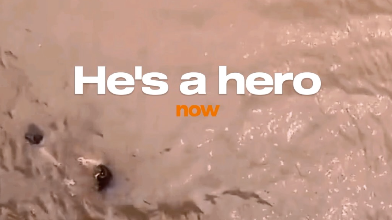 Deliveryman jumps off 10-meter-high bridge to save woman - CGTN