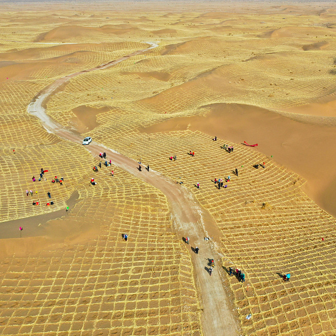 China's journey of pushing green forward, desertification back - CGTN
