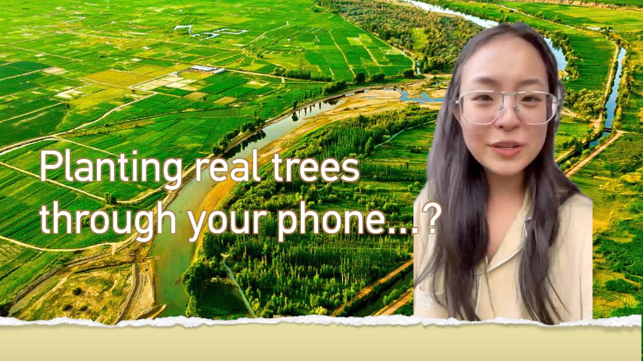 Planting real trees through your phone? - CGTN