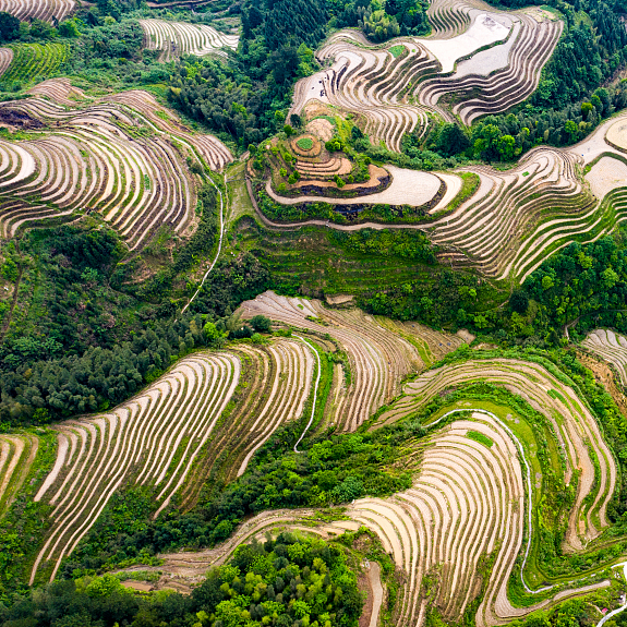 Live: Explore the splendid Longji Rice Terraces in China's Guilin - CGTN