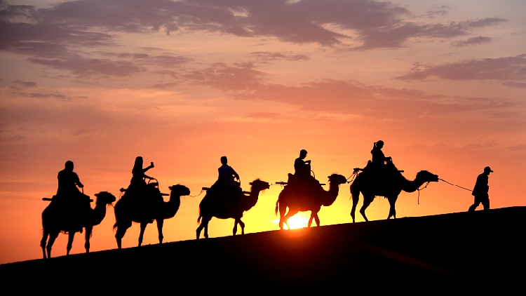 Green oasis shines like a diamond in Gansu - CGTN