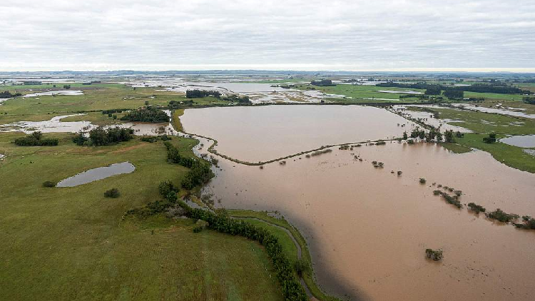 Vegetable farmers suffer great losses in flood-hit southern Brazil - CGTN