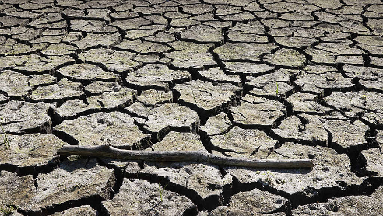 Questionnaire on increasing extreme weather events worldwide - CGTN