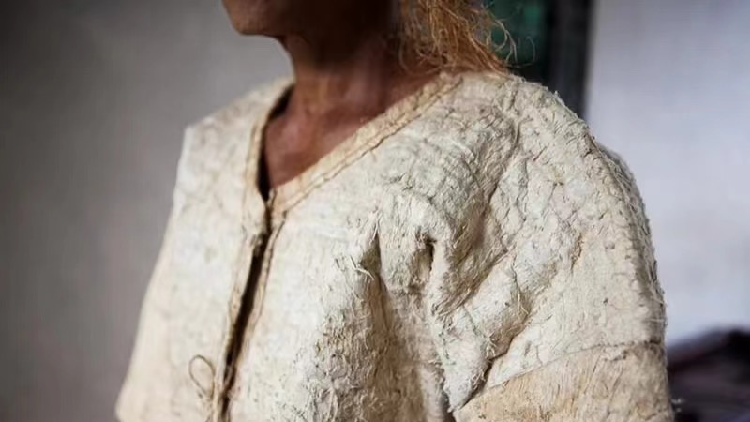 The Art of Bark: A closer look at Li ethnic group's tree bark fabric - CGTN