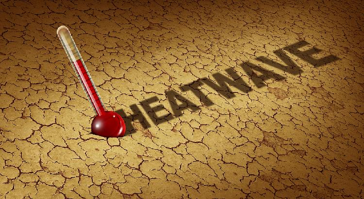 Heatwaves are sweeping across the Northern Hemisphere - CGTN