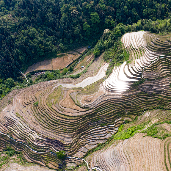 Live: Explore the splendid Longji Rice Terraces in China's Guilin - CGTN
