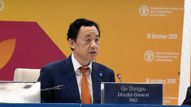 China to continue to support FAO's work: FM spokesperson - CGTN