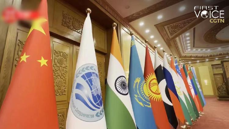 SCO indispensable for global security and common growth - CGTN