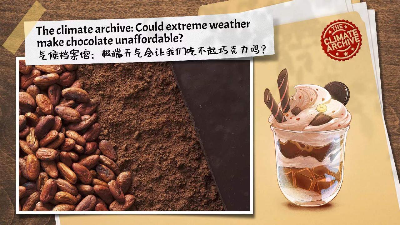 Climate archive: Could extreme weather make chocolate unaffordable? - CGTN