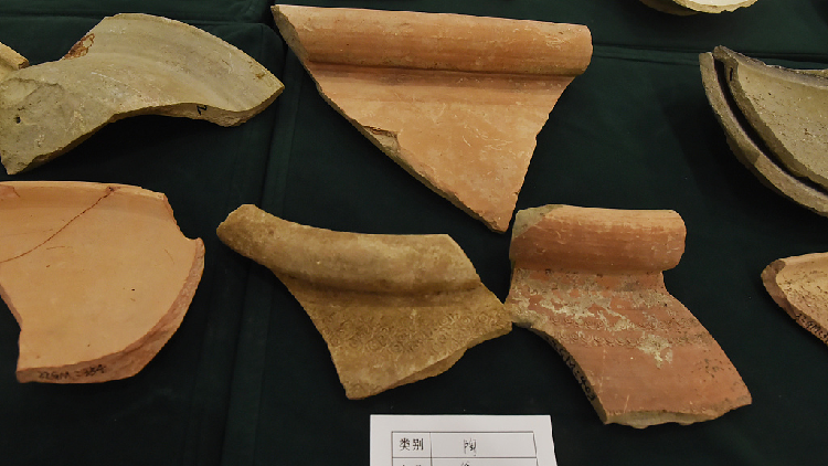 Excavations along the Hengshui section of the Grand Canal - CGTN