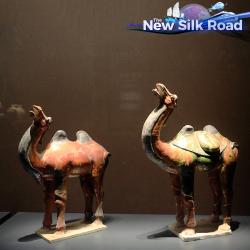 Live: Trace the history of the Silk Road at China Silk Museum - CGTN