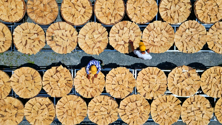 Sun-drying handmade fuzhu: a preserving tradition of Chinese cuisine - CGTN