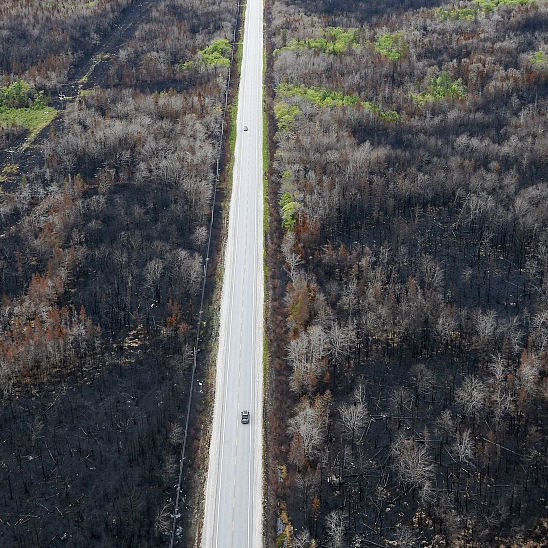 Over 10 million hectares burned in Canadian wildfires - CGTN
