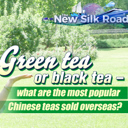 What are the most popular Chinese teas sold overseas? - CGTN