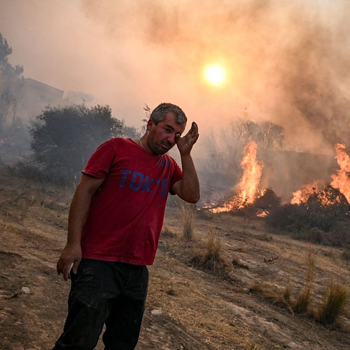 Wildfires bring death and destruction to the Mediterranean - CGTN