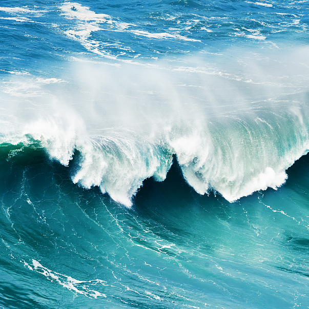 Ocean currents could collapse by mid-century: study - CGTN