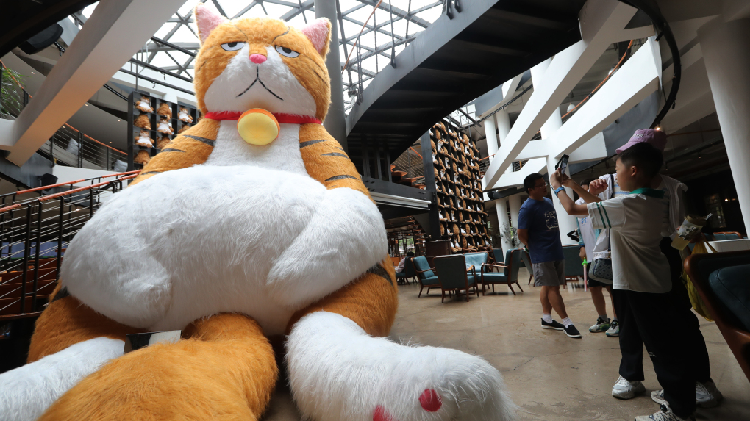 Giant cat creates an eye-catching scene in Kunming - CGTN