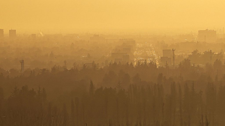 Chile sees heat wave in the middle of winter, temperatures reach 37 C ...