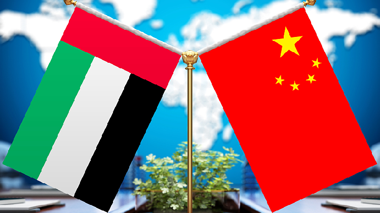 China ready to synergize development strategies with UAE: FM - CGTN