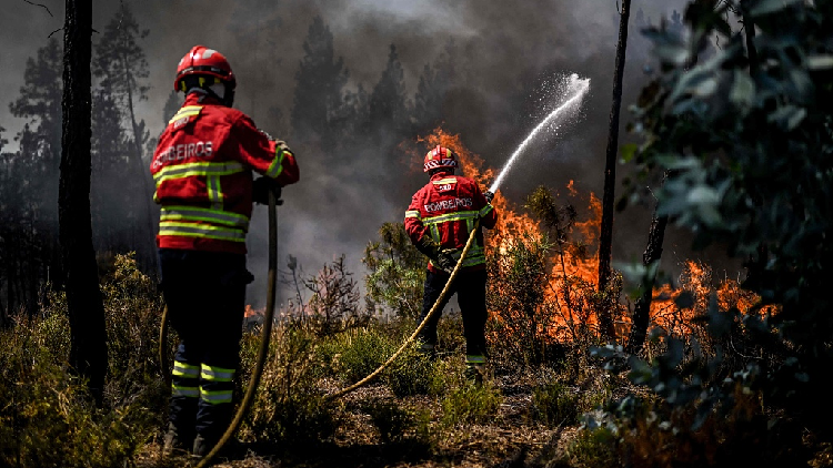 Portugal battles wildfires amid searing heat - CGTN