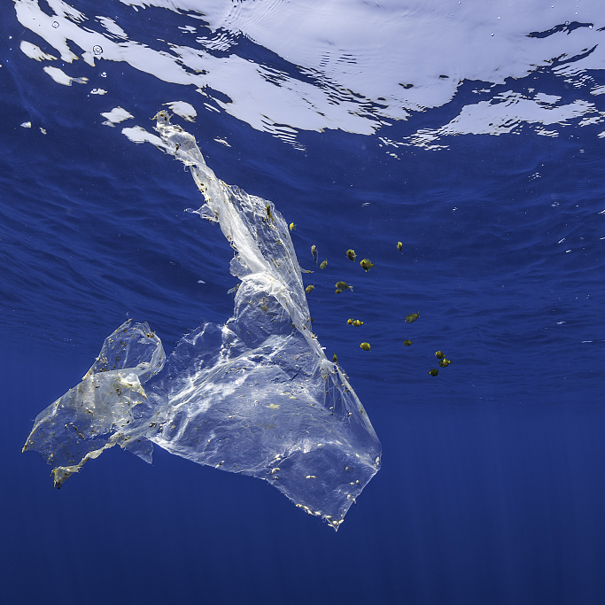Plastic litter in oceans overestimated, study suggests - CGTN
