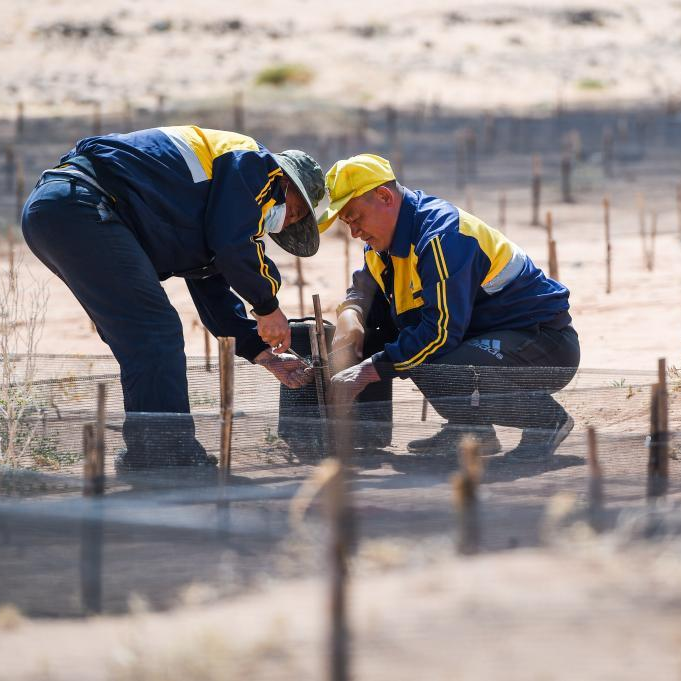 From desert to oasis: China builds science-based ecological barrier - CGTN