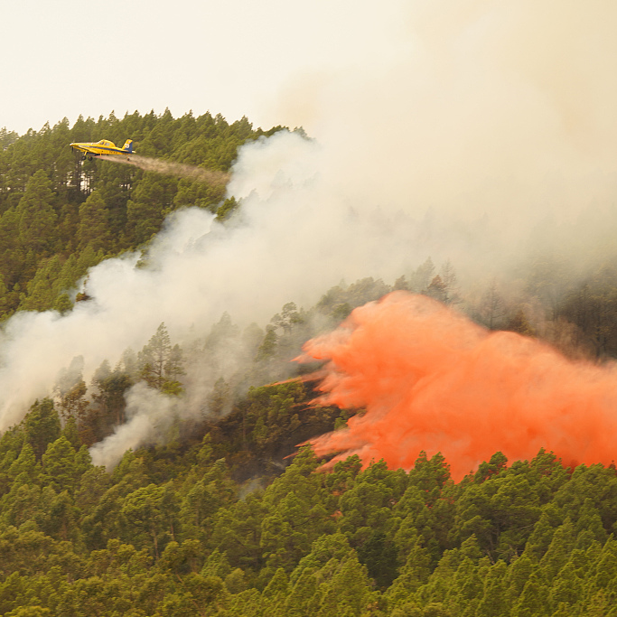 Wildfire scorches Spain's Tenerife island, affecting thousands - CGTN