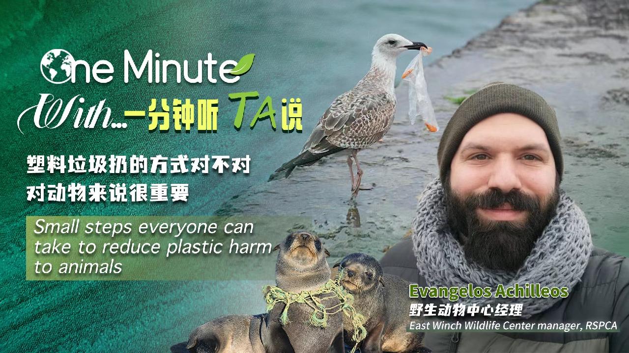 Small steps everyone can take to reduce plastic harm to animals - CGTN