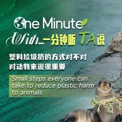 Small steps everyone can take to reduce plastic harm to animals - CGTN