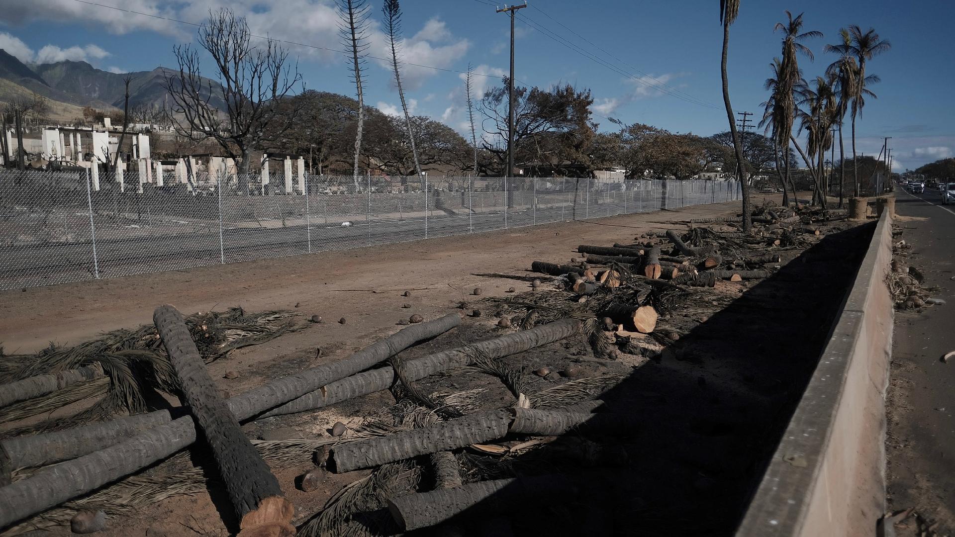 Hawaii governor says Maui fire death toll to rise in coming days - CGTN