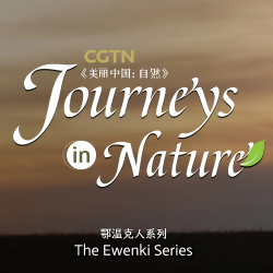 CGTN Nature presents 'Journeys in Nature: The Ewenki Series' - CGTN