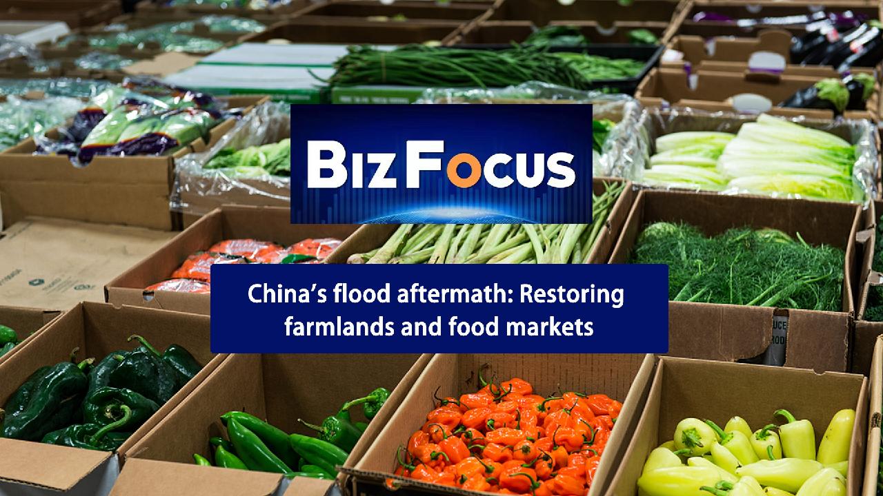 BizFocus Ep.38: Restoring flood-hit farmlands and food markets - CGTN