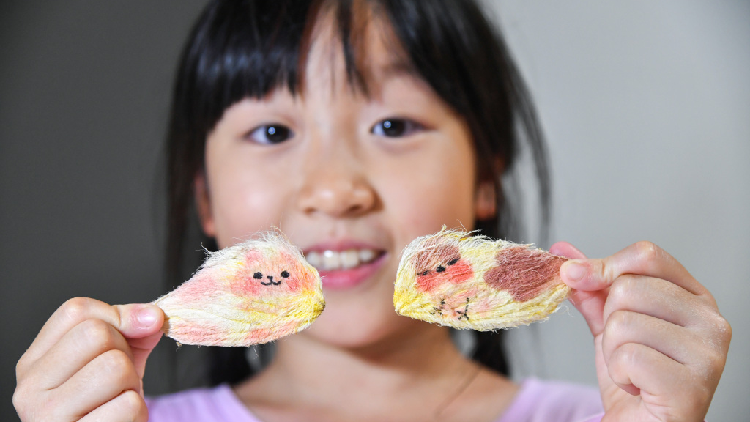 Mango pit-made pet dog in fashion among young Chinese - CGTN