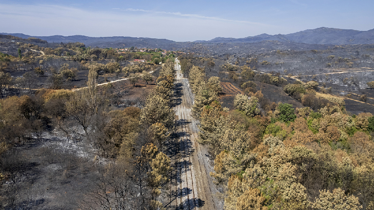 Greece wildfire declared largest ever recorded in EU - CGTN