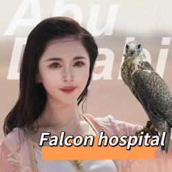 Watch: Inside the world's biggest falcon hospital in Abu Dhabi - CGTN