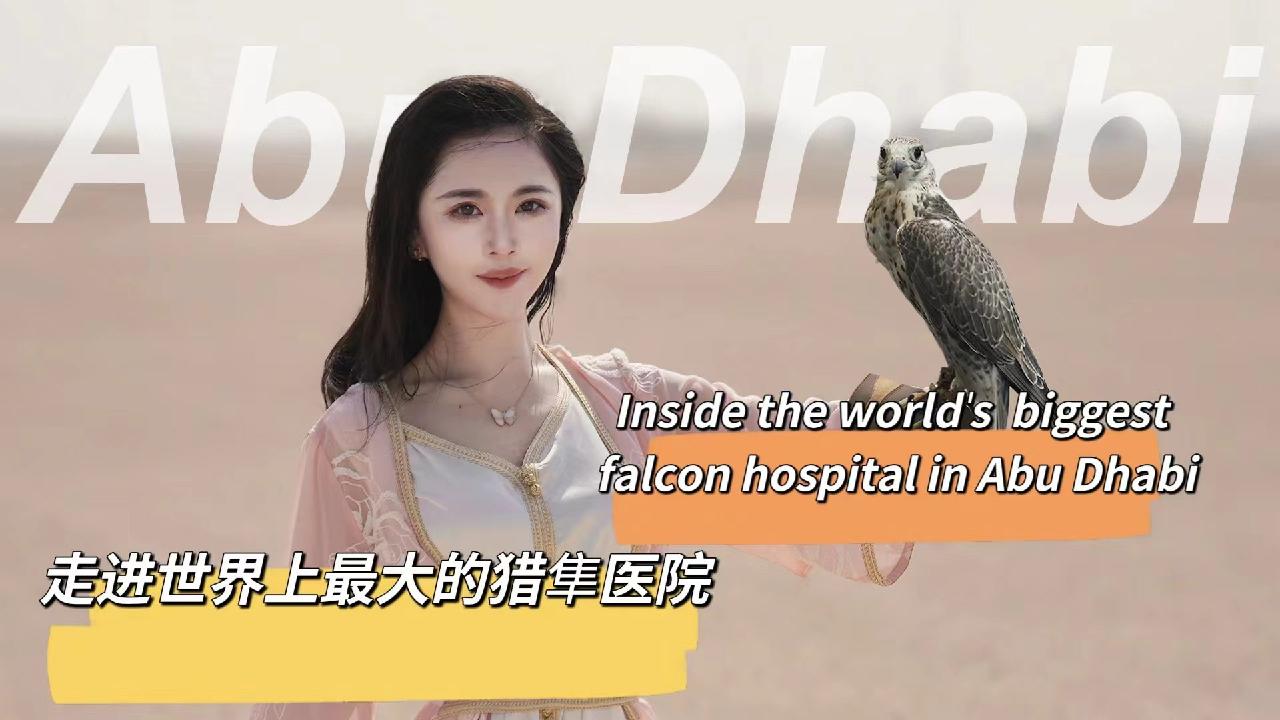 Watch: Inside the world's biggest falcon hospital in Abu Dhabi - CGTN