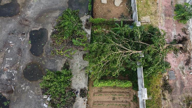 China allocates 200m yuan disaster relief fund for typhoon-hit regions ...