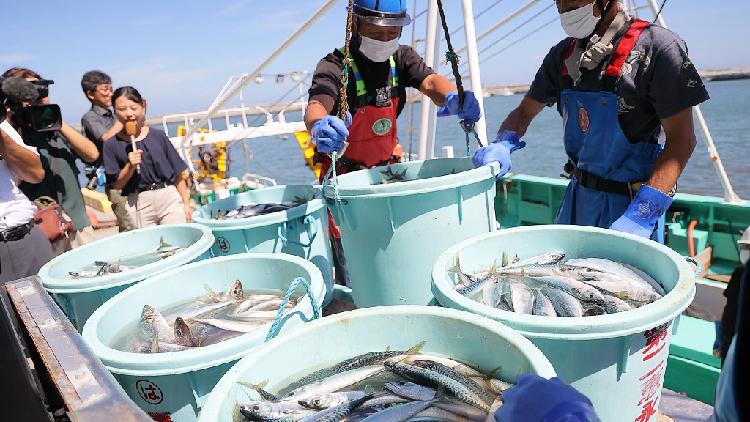 China reiterates legitimacy of import ban on Japan's aquatic products ...