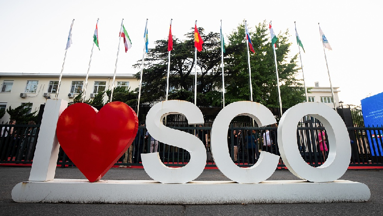 Xi sends congratulatory letter as SCO justice ministers meet in ...