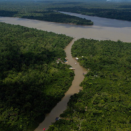 Deforestation in Brazil Amazon falls, two Indigenous reserves approved ...