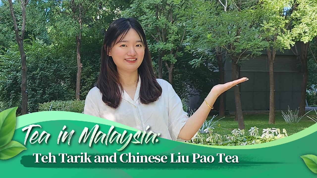 Tea in Malaysia: Teh Tarik and Chinese Liu Pao Tea - CGTN