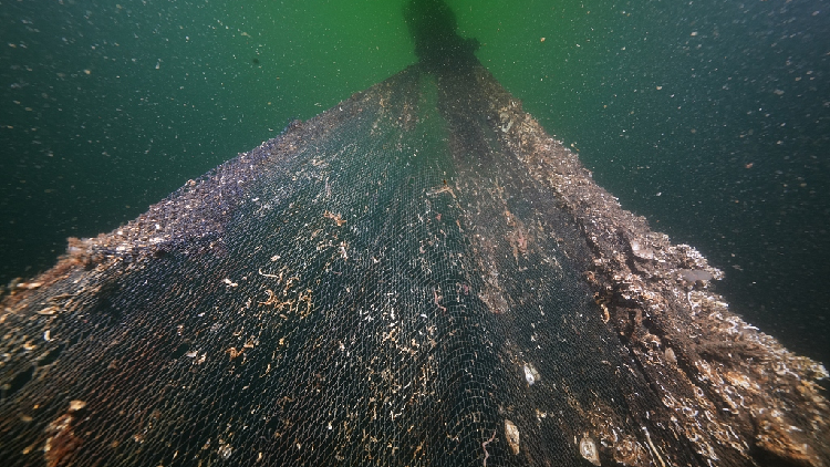 Earth beyond its 'safe operating space for humanity,' study says - CGTN