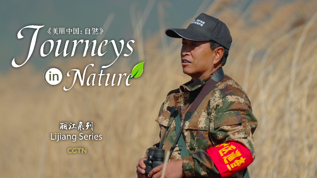 Lijiang Series Ep. 14: Once a fisherman, now a ranger in a reserve - CGTN